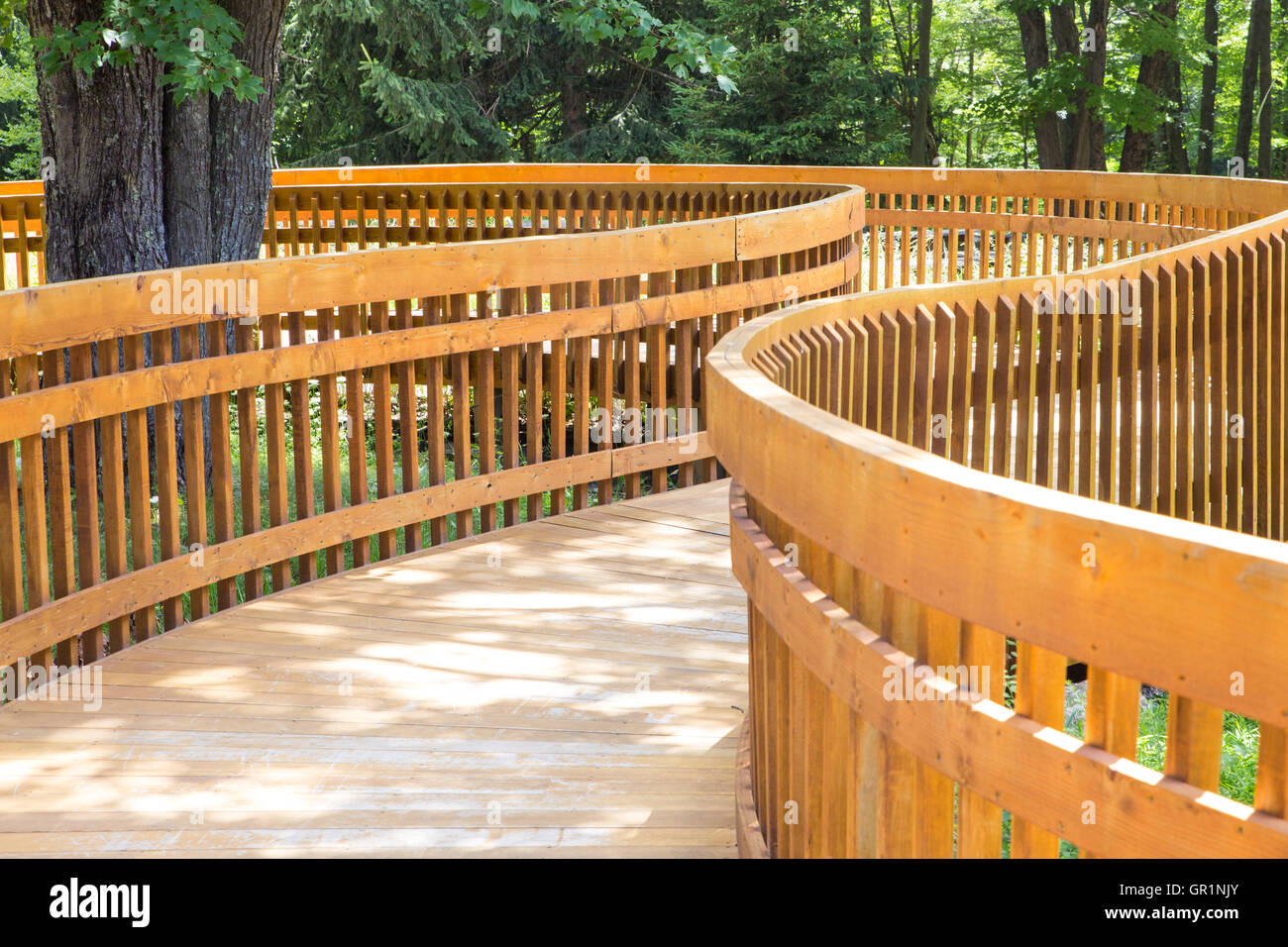 Newly constructed wooden path with railing through nature area Stock ...