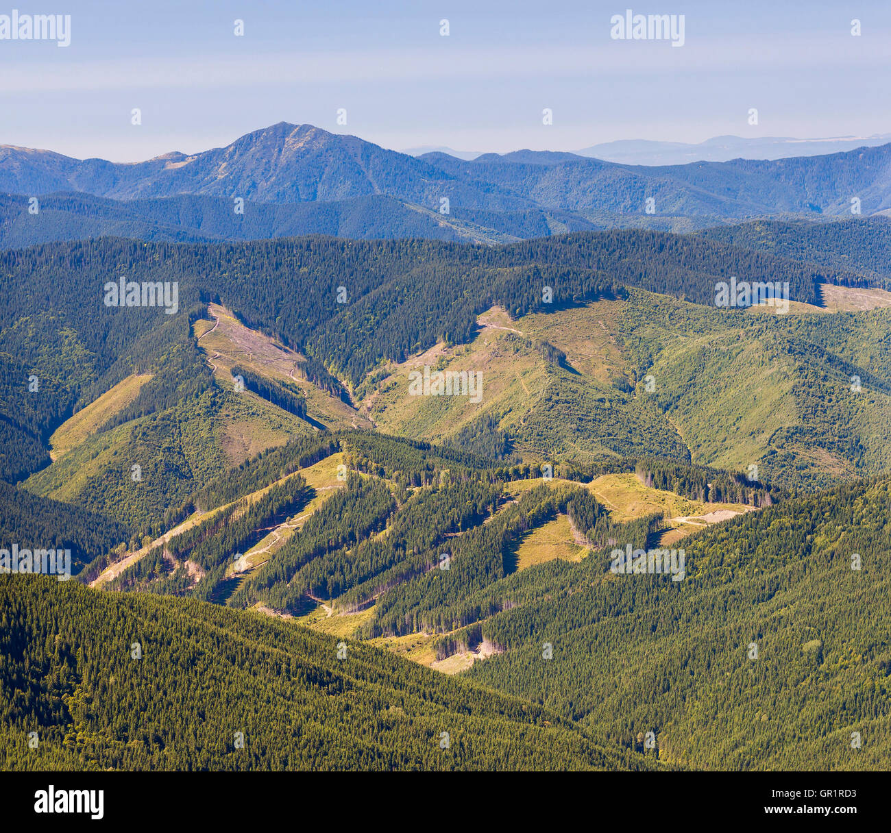 Results Of Deforestation High Resolution Stock Photography and Images ...