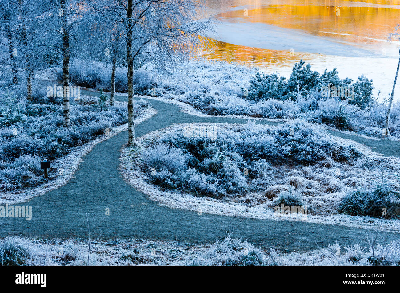 Norway, Sandnes. Winter in Rogaland Arboretum Stock Photo - Alamy