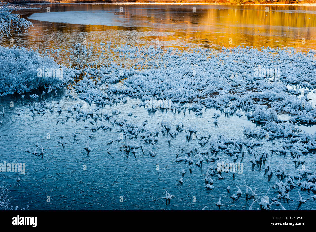 Norway, Sandnes. Winter in Rogaland Arboretum Stock Photo - Alamy