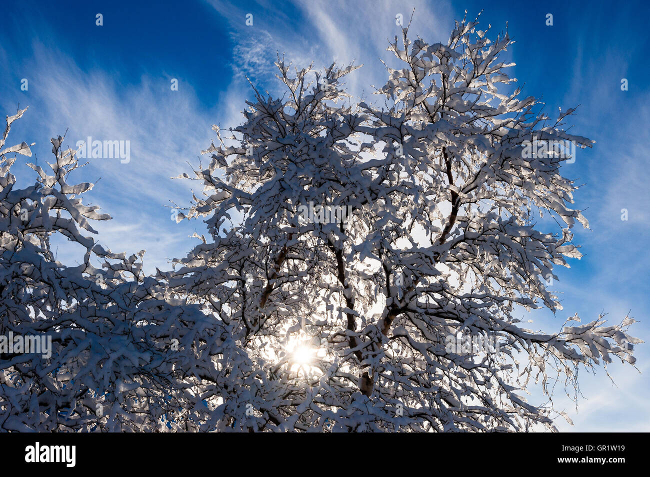 Atmosphere first snow season hi-res stock photography and images - Alamy