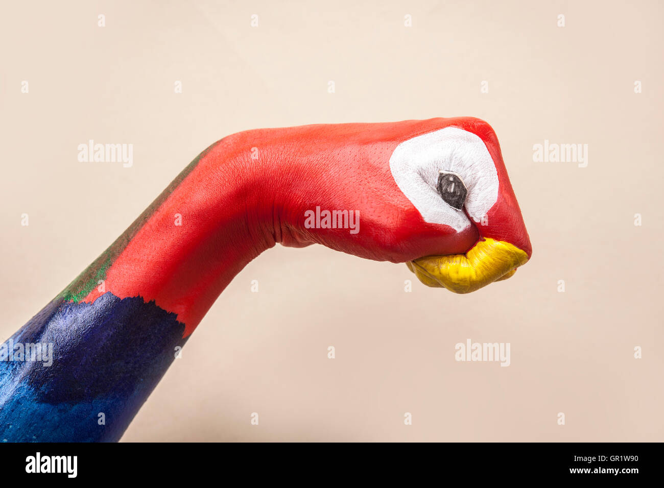 Parrot by finger art Stock Photo - Alamy