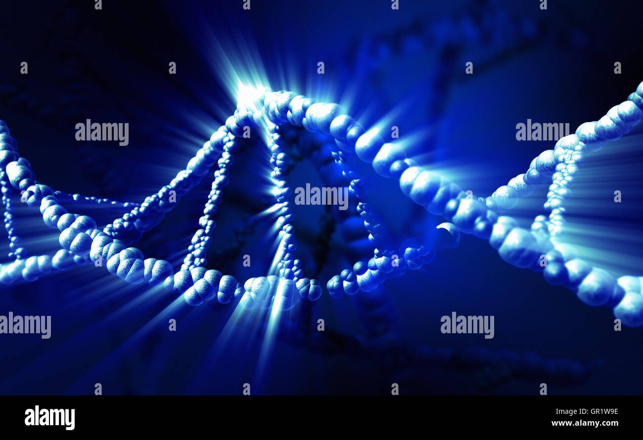 Structure of dna model hi-res stock photography and images - Alamy