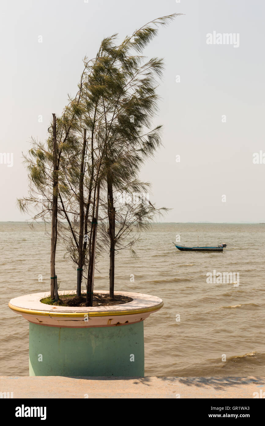 Green bush on sea hi-res stock photography and images - Alamy