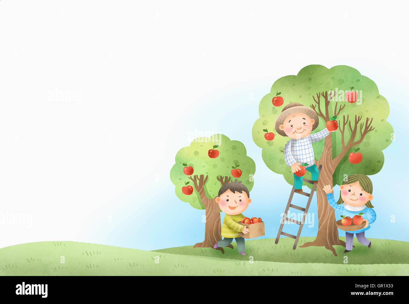 People picking apples Stock Photo - Alamy