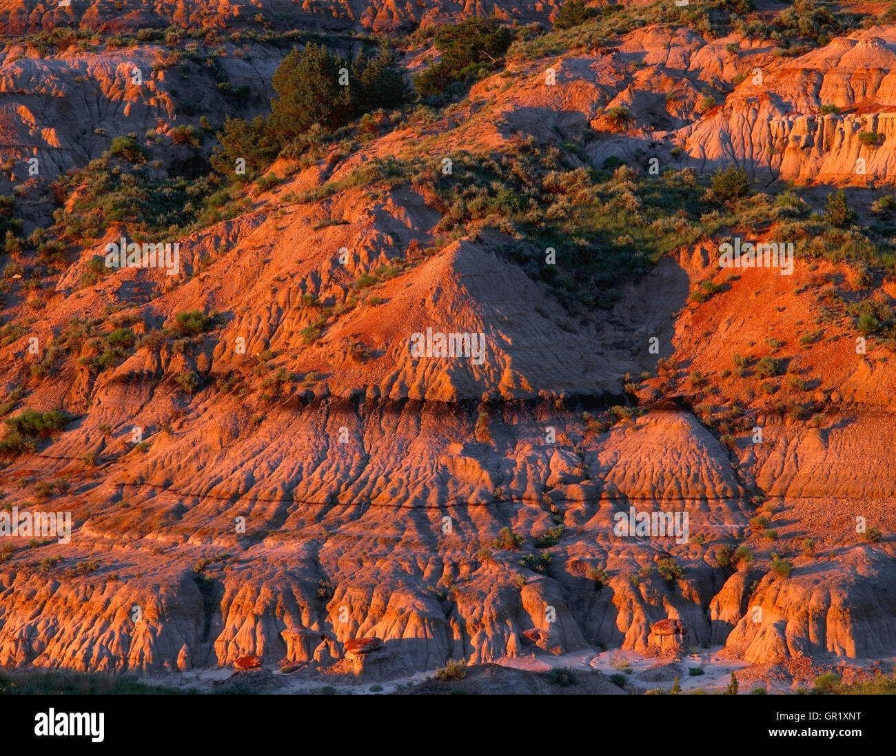 USA, North Dakota, Theodore Roosevelt National Park, Sunset light ...