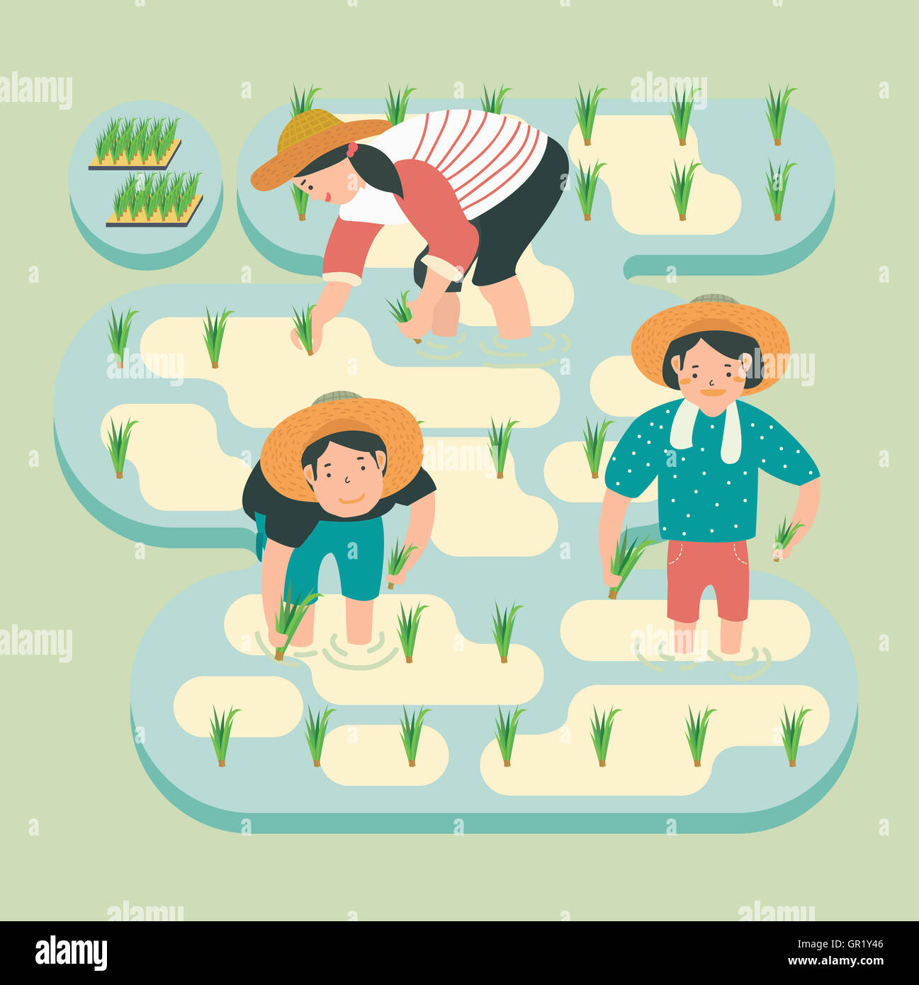 Farmers transplanting rice Stock Photo - Alamy