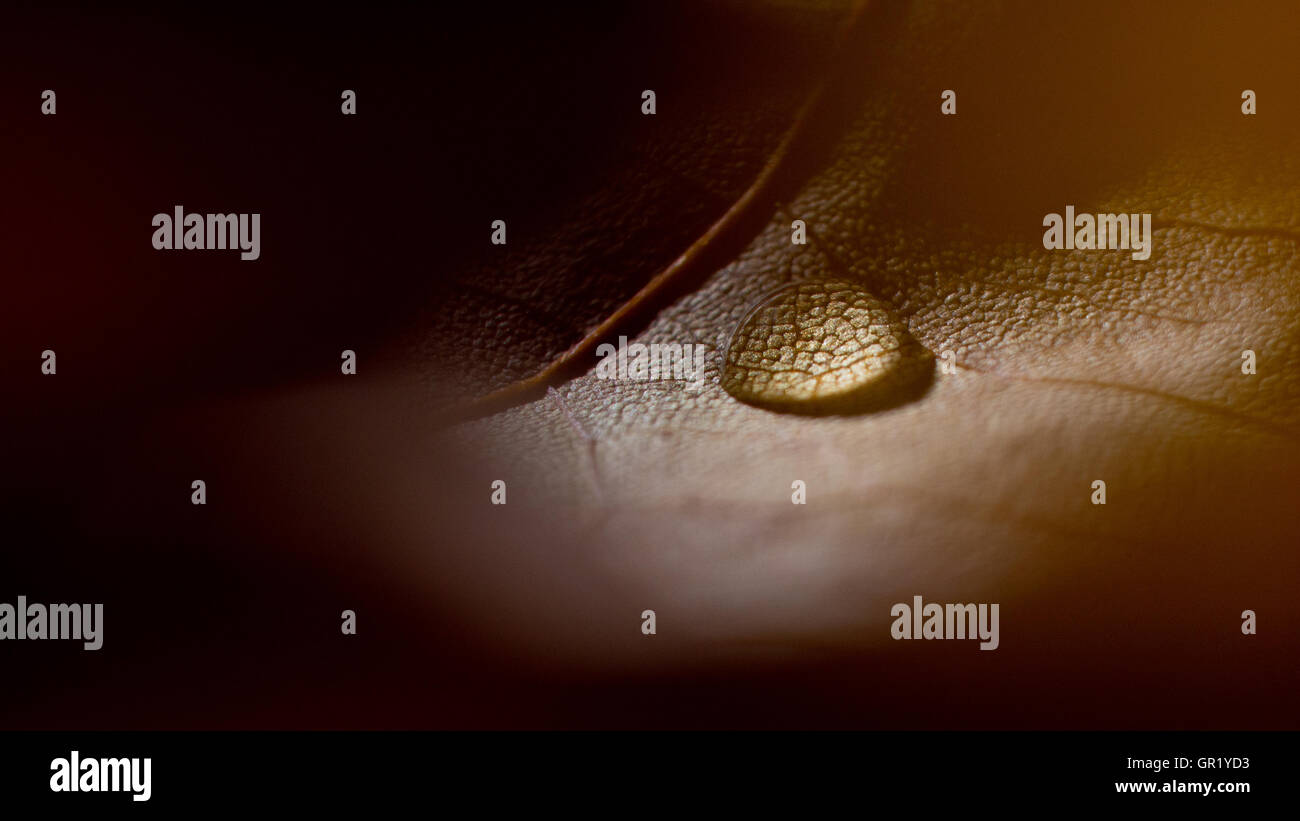 Macro water drop art hi-res stock photography and images - Alamy