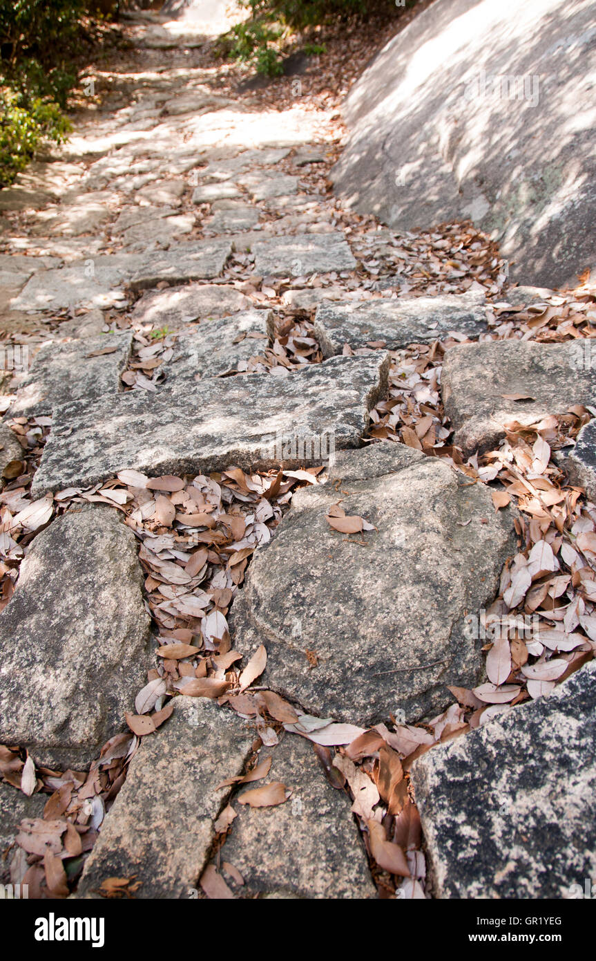 Japanese stone steps Stock Photo - Alamy