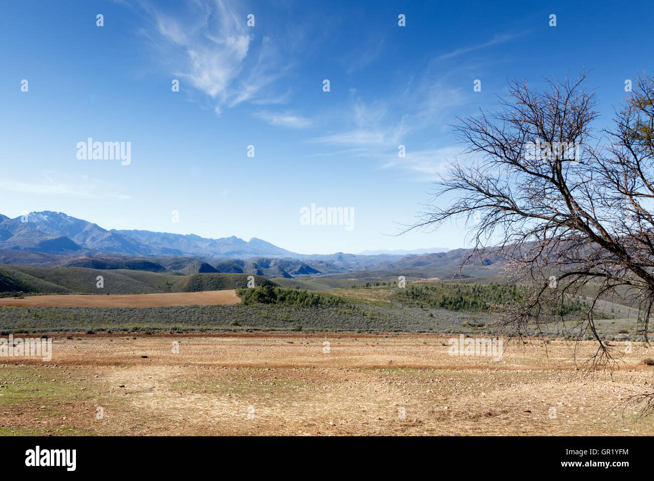 Clouds are talking to trees in The Swartberg Nature Reserve - The ...