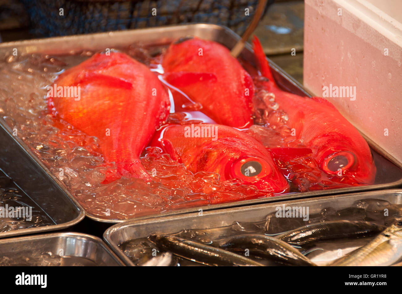 Red Fish at the Tsukiji fish market Stock Photo - Alamy