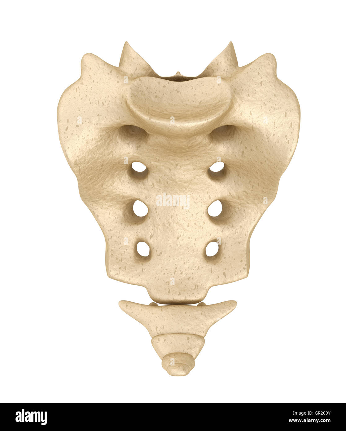 3d illustration hi-res stock photography and images - Alamy