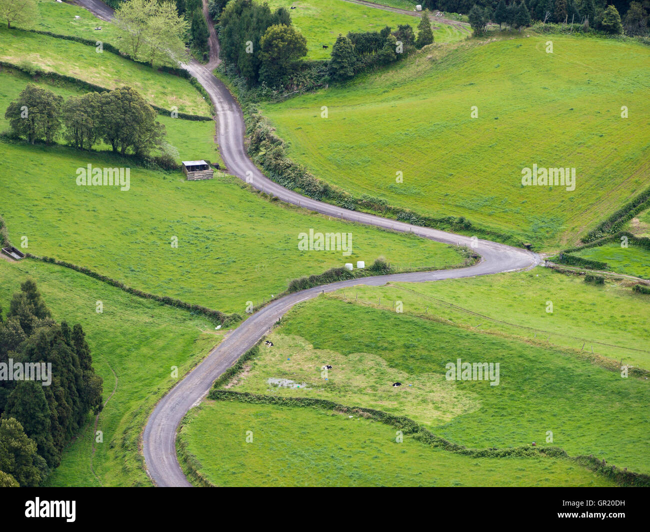 Winding Valley Road. A small road winds through lush green pastures in ...