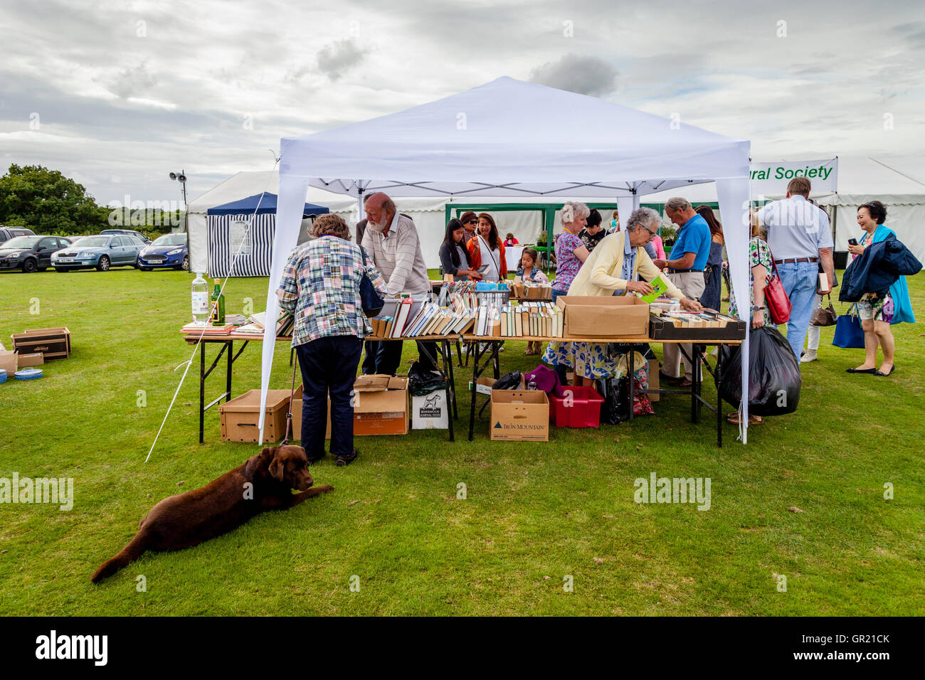 A Secondhand Bookstall At The Hartfield Village Fete, Hartfield, East ...
