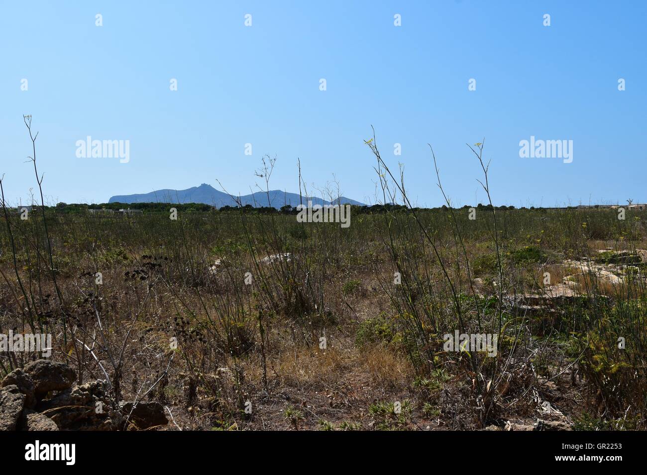 Rural desert hi-res stock photography and images - Alamy