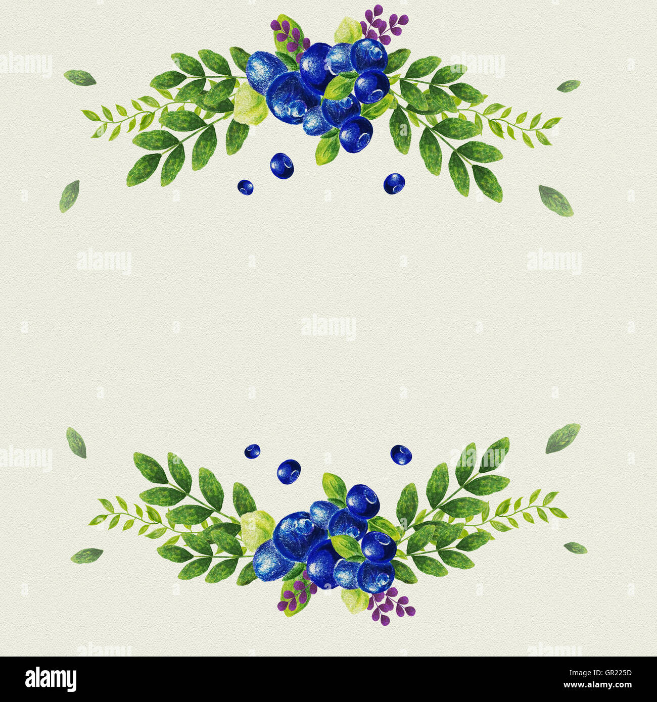Background with blueberries Stock Photo - Alamy