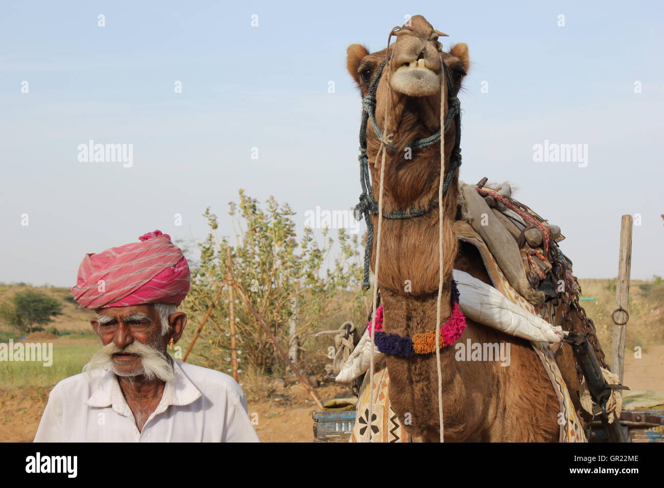 Camel and Man in India Stock Photo - Alamy