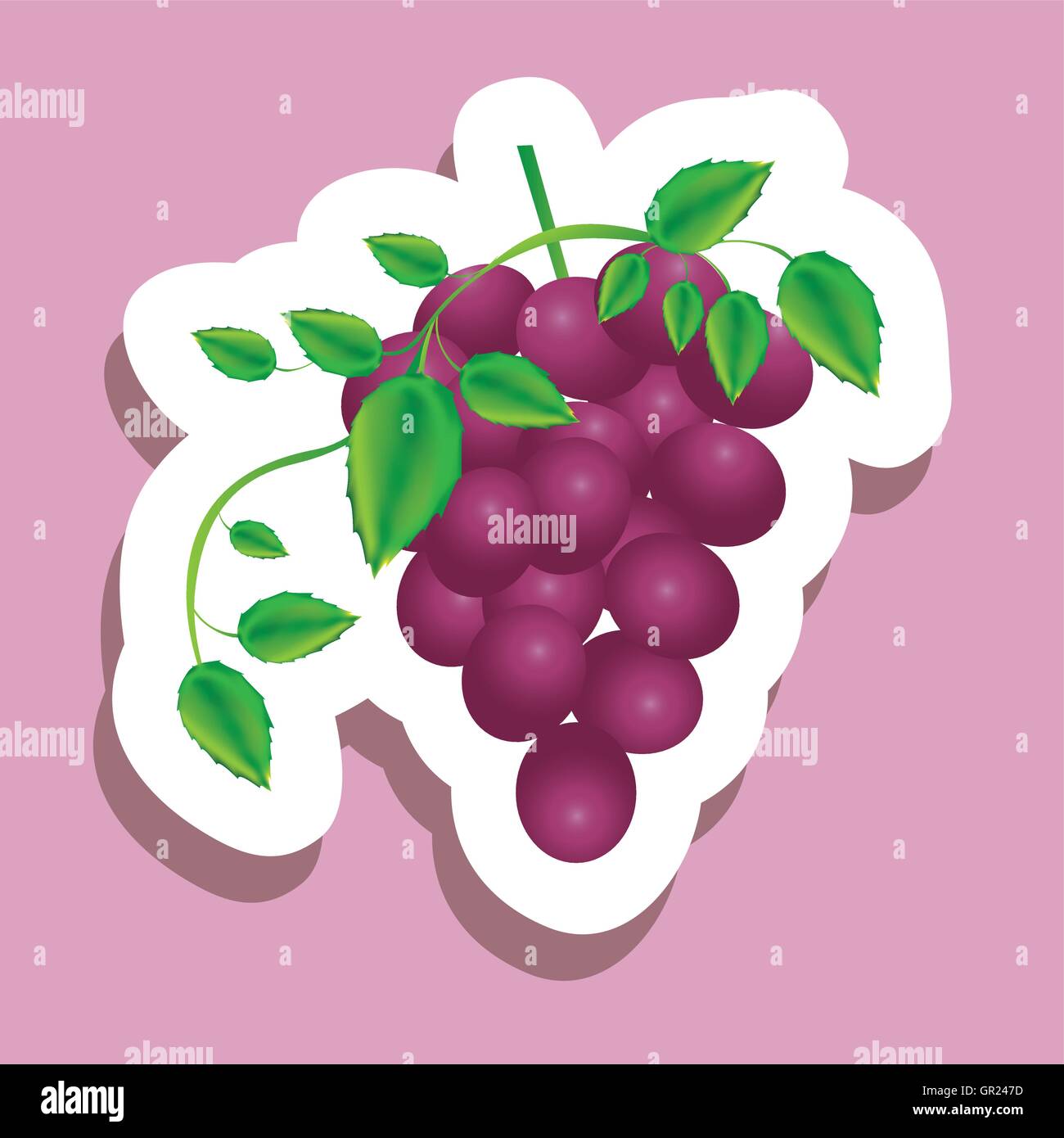 Wet grapes Stock Vector Images - Alamy