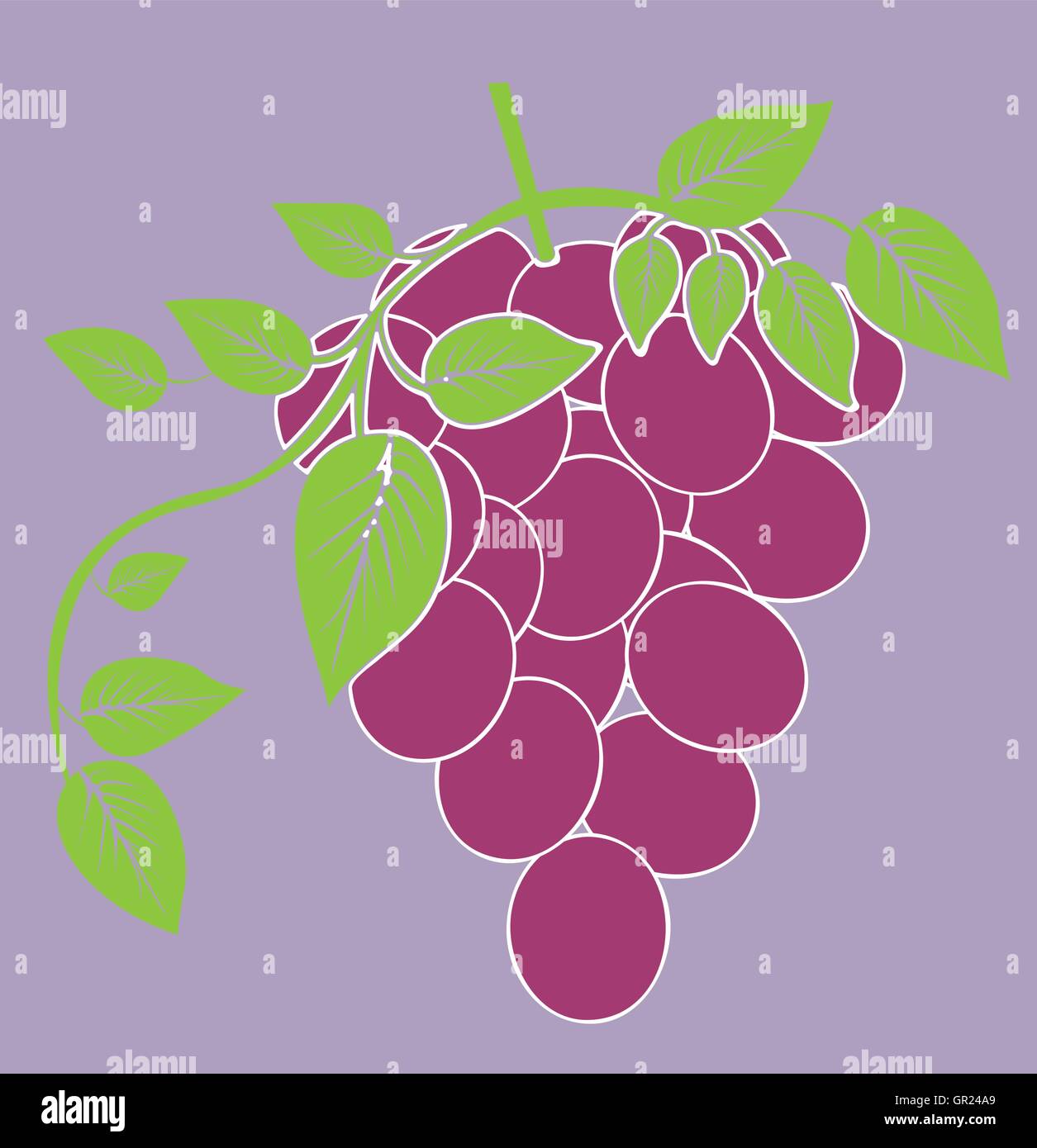 Wet grapes Stock Vector Images - Alamy