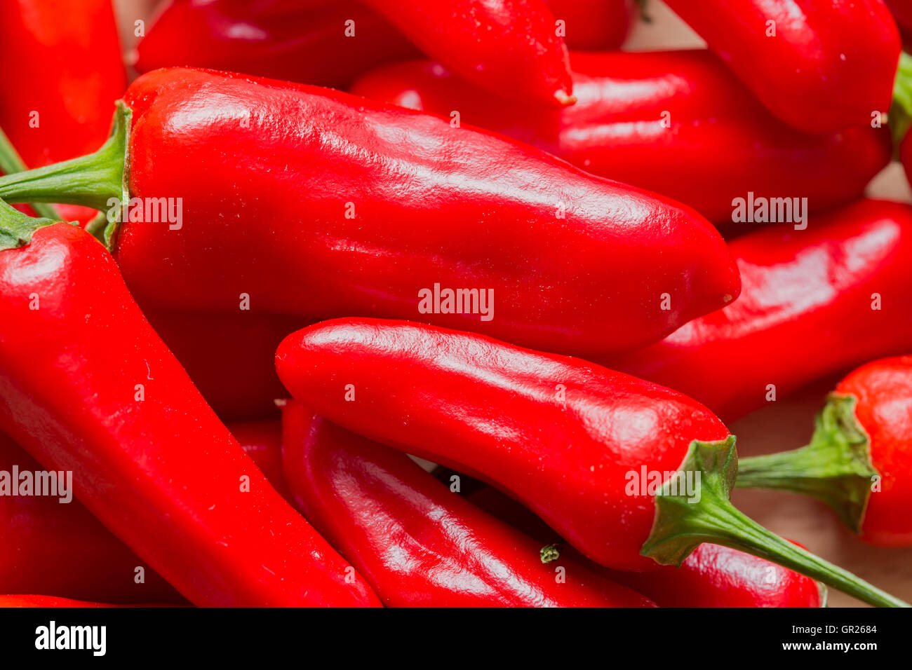 Red chilli pepper 'capsicum annuum' Stock Photo - Alamy