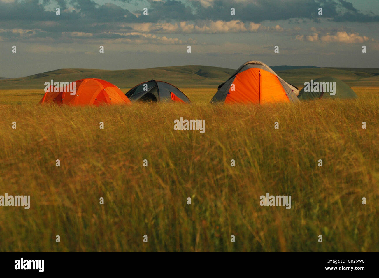expedition tents on the steppes of Mongolia Stock Photo - Alamy