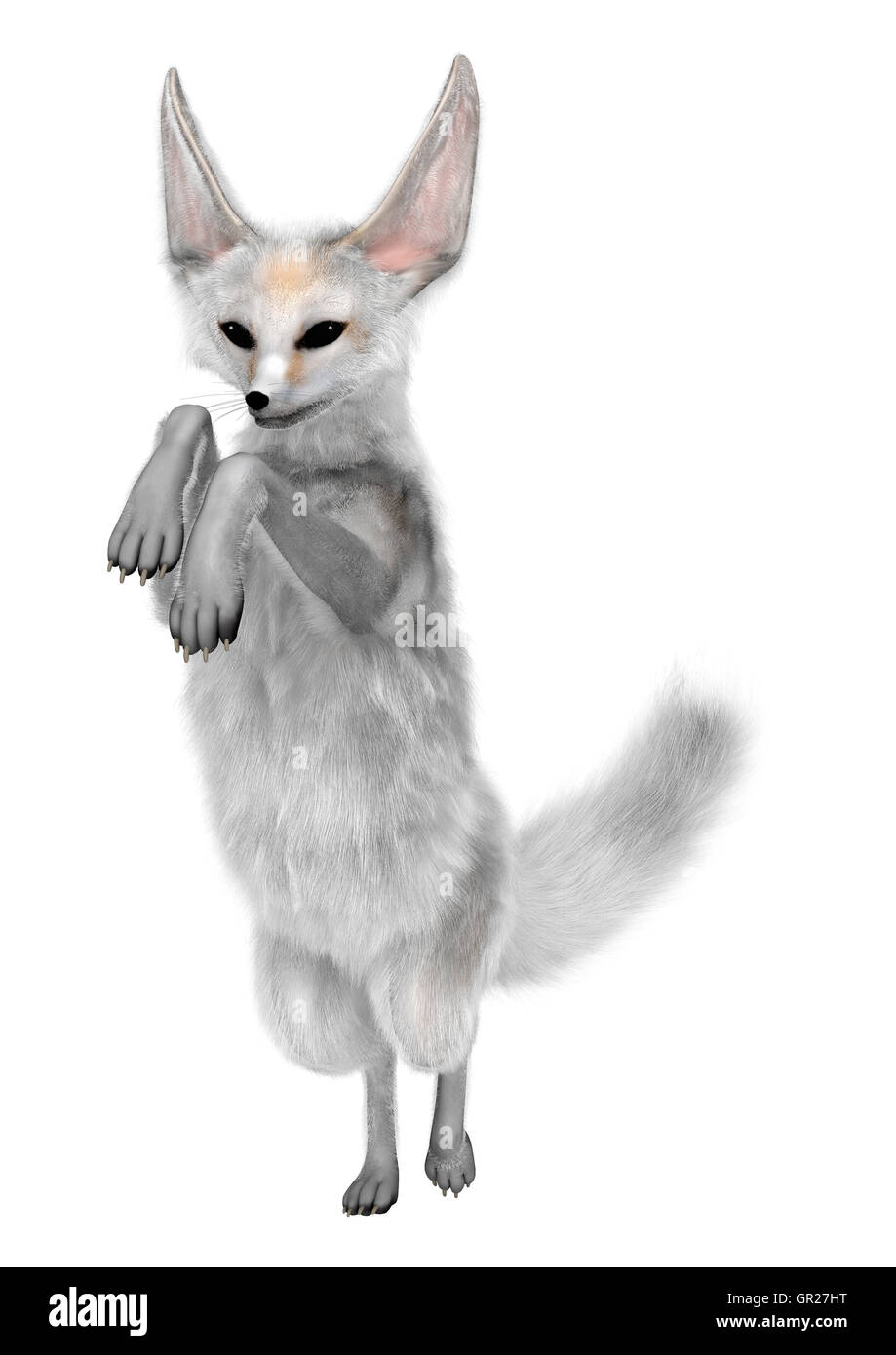 3D rendering of a fennec fox isolated on white background Stock Photo ...