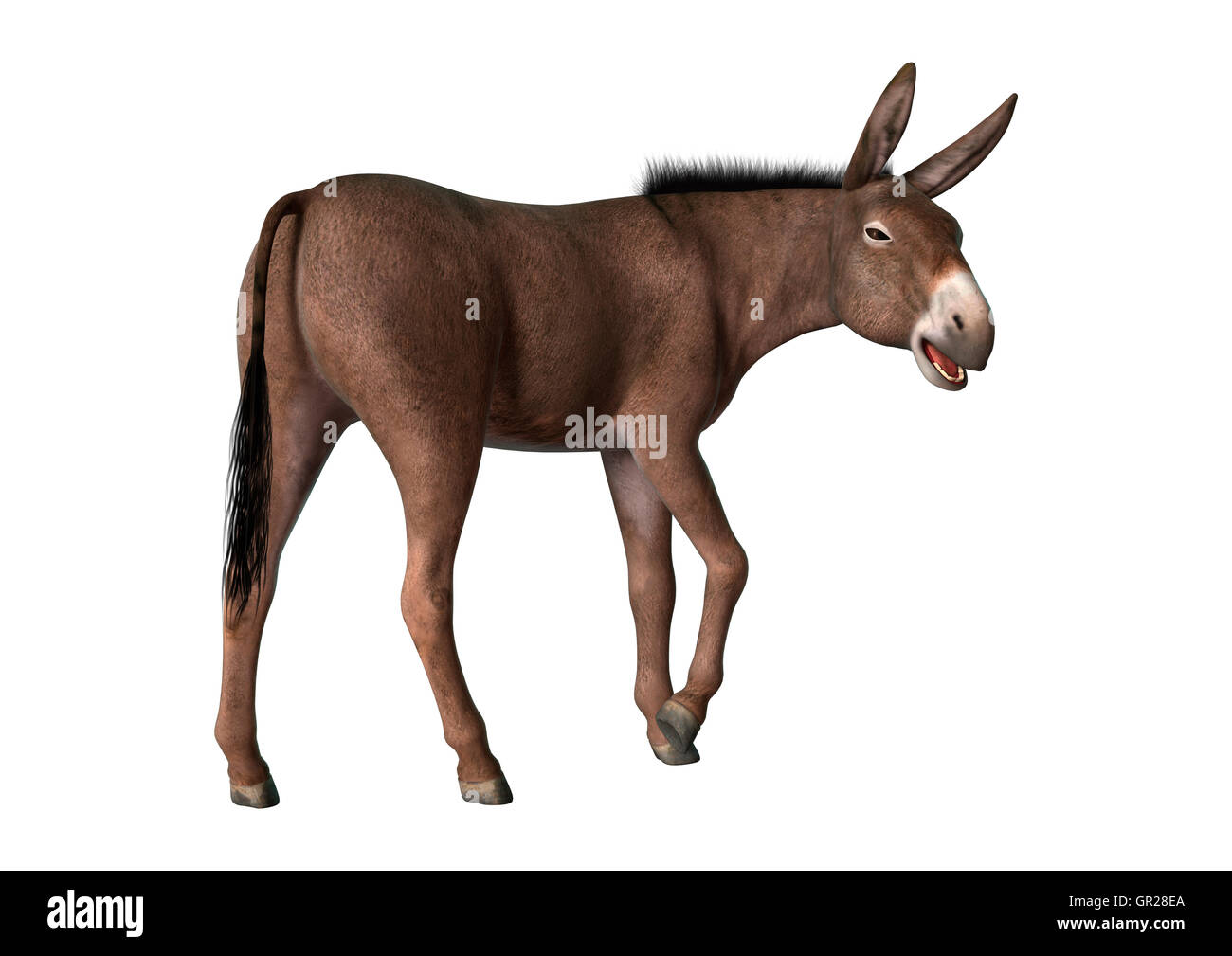 3D rendering of a donkey isolated on white background Stock Photo - Alamy
