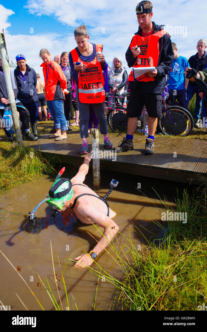 Bog snorkelling hi-res stock photography and images - Alamy