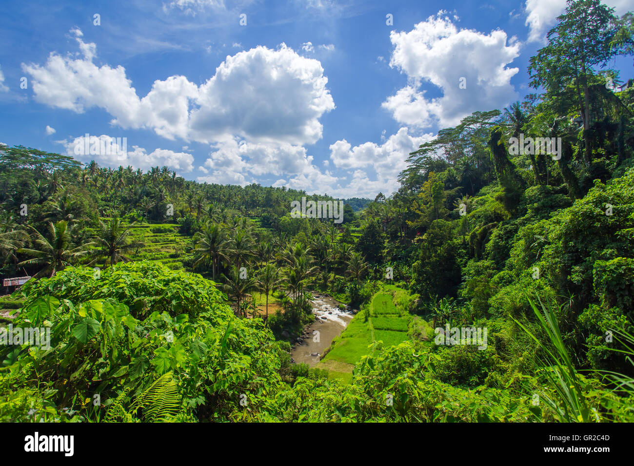 Lush fields hi-res stock photography and images - Alamy