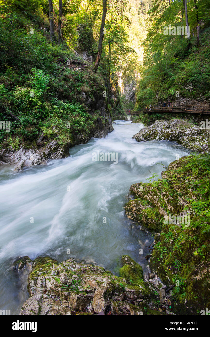 Bled gorge hi-res stock photography and images - Alamy