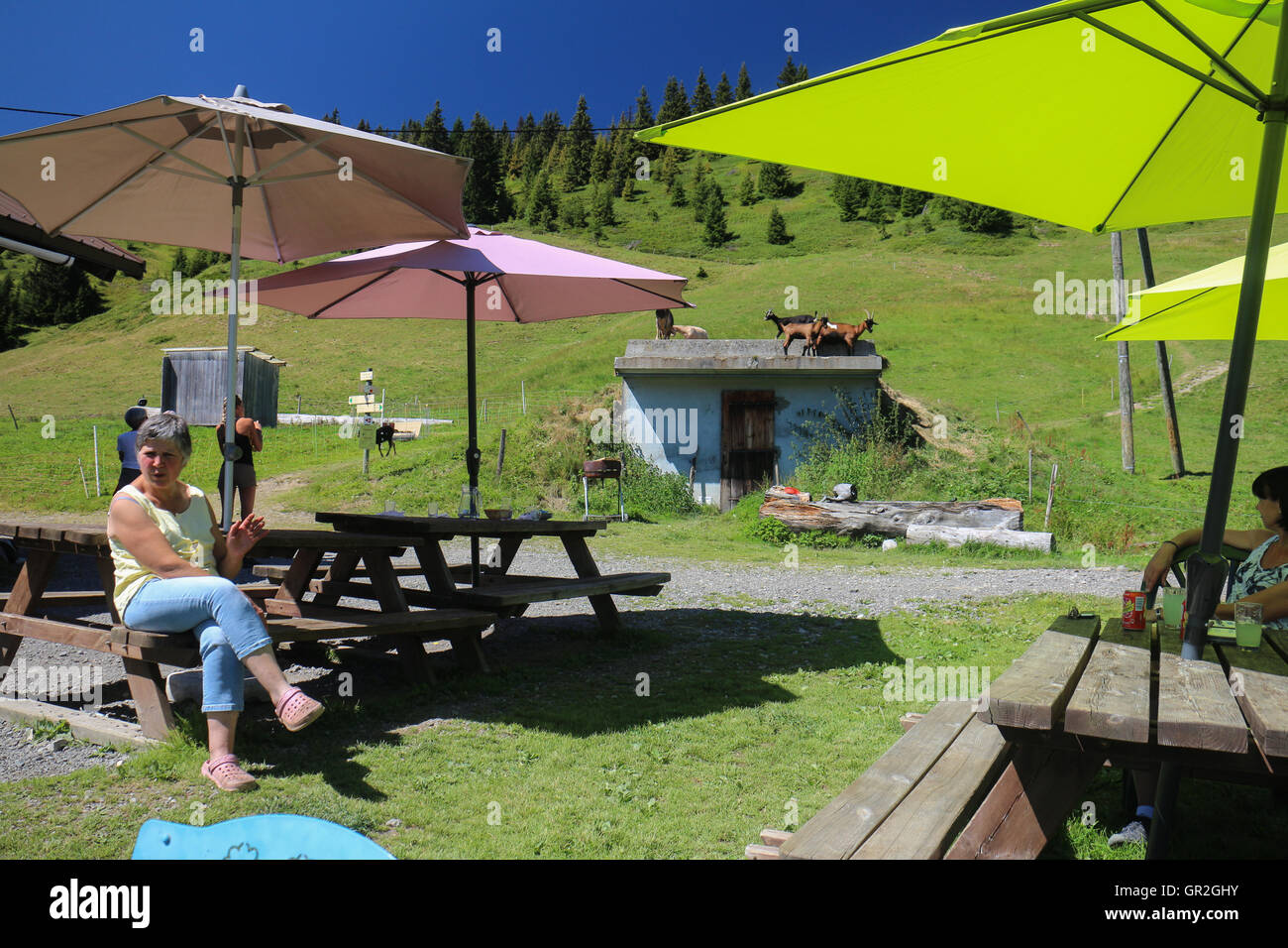 Plan praz hi-res stock photography and images - Alamy