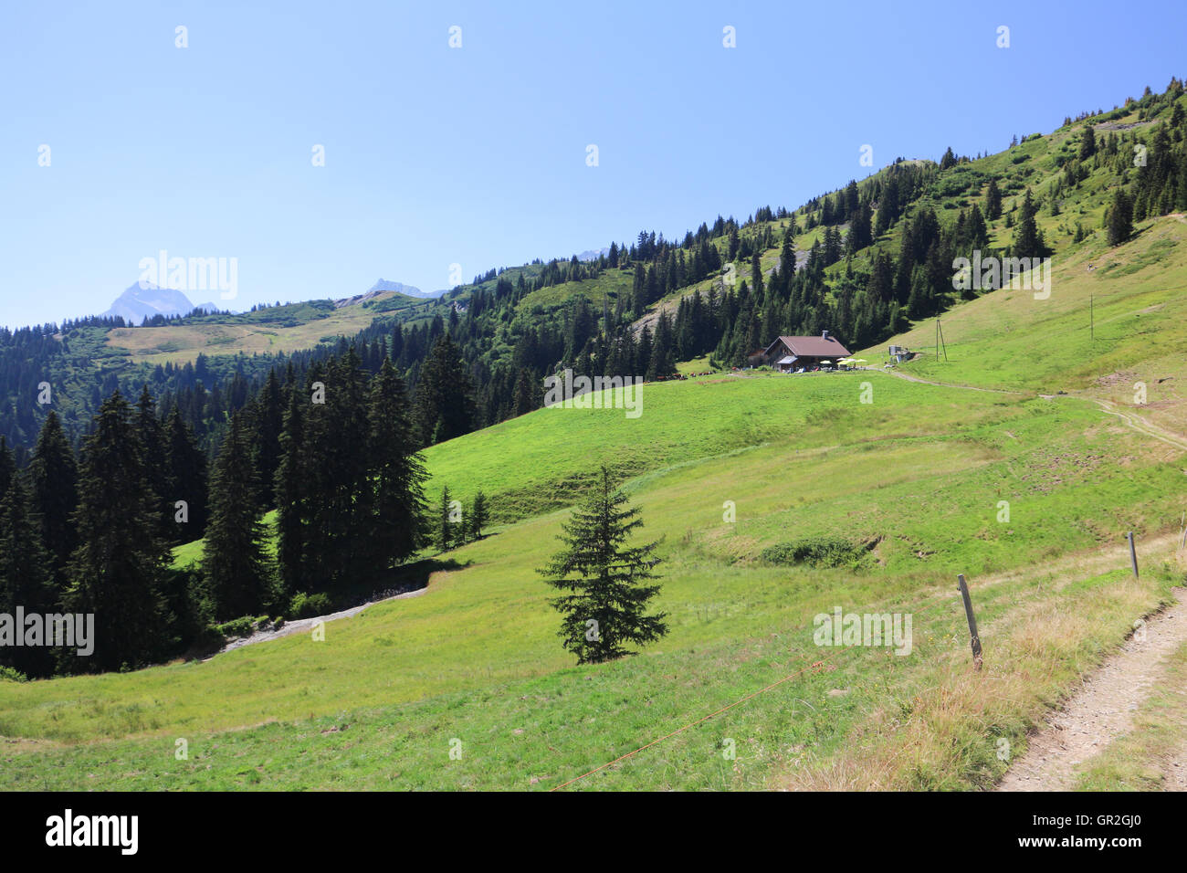 Plan praz hi-res stock photography and images - Alamy