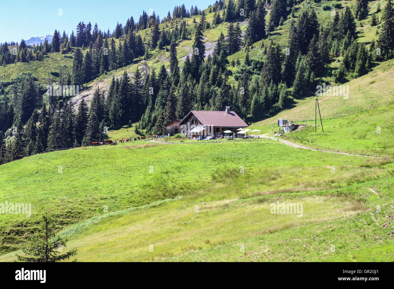 Plan praz hi-res stock photography and images - Alamy