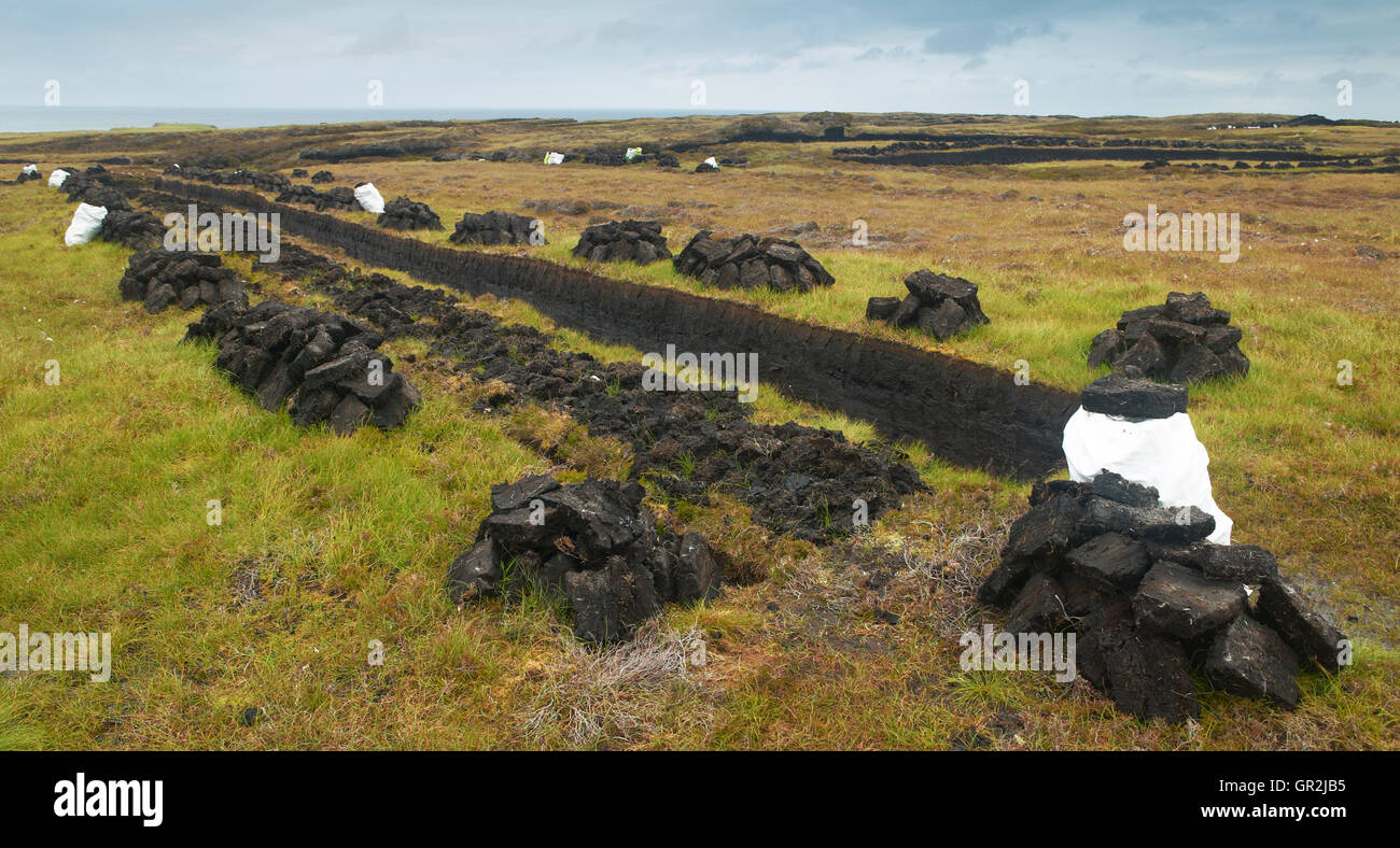 Peat ground hi-res stock photography and images - Alamy