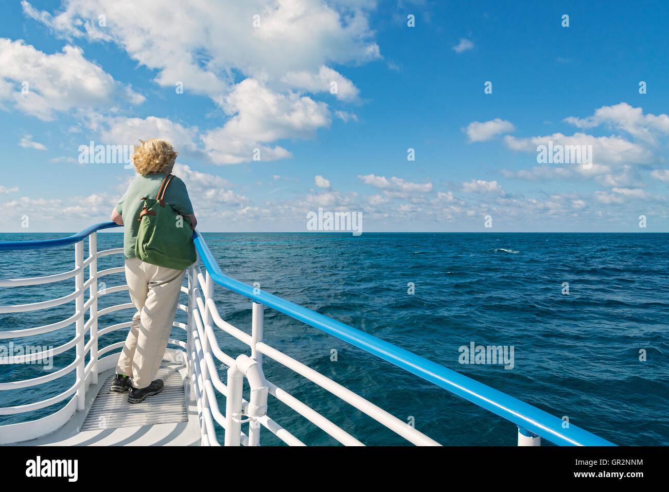 Florida Keys, Key Largo, John Pennekamp Coral Reef State Park, female ...