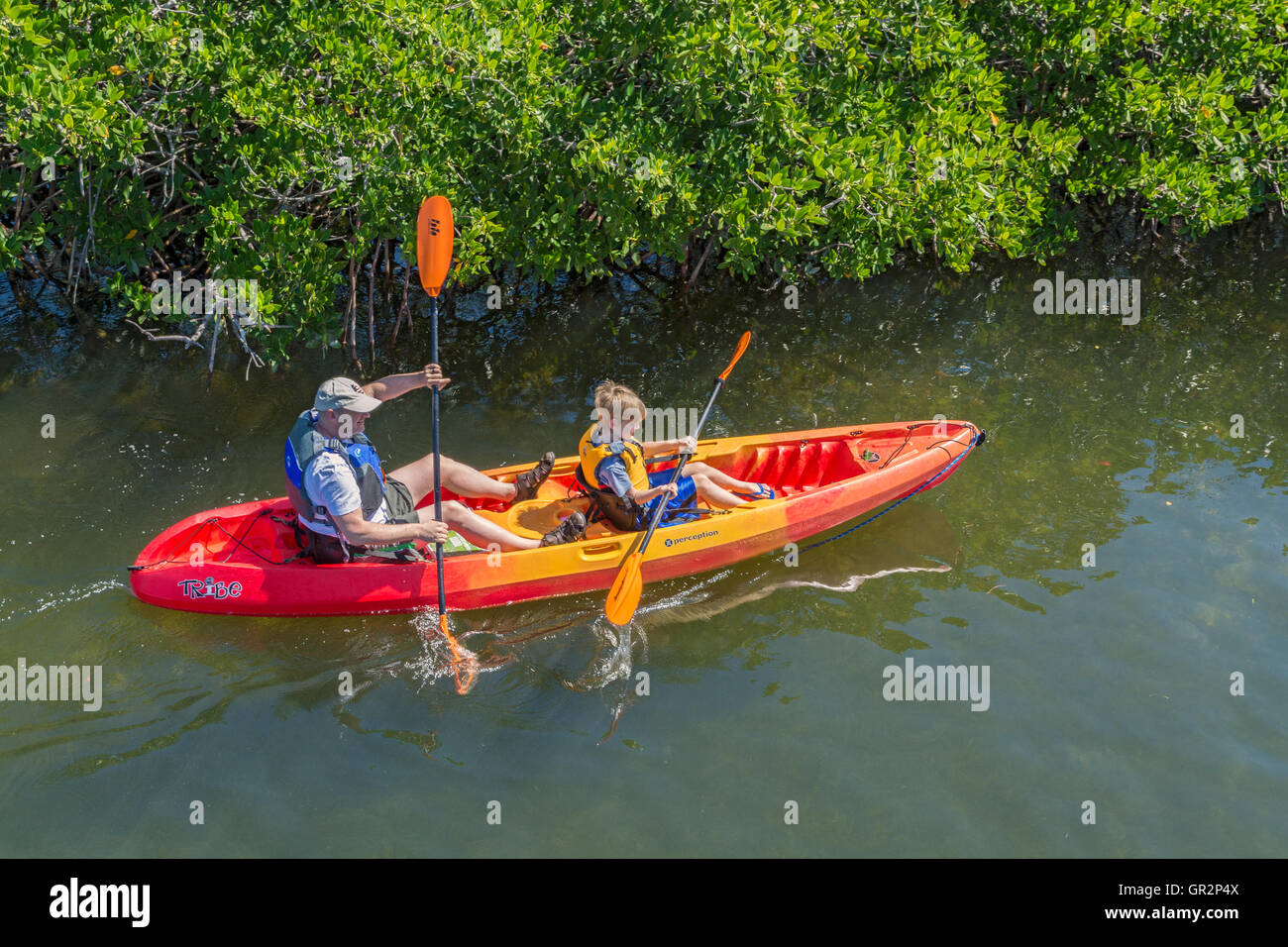 Florida Keys, Key Largo, John Pennekamp Coral Reef State Park, kayakers ...