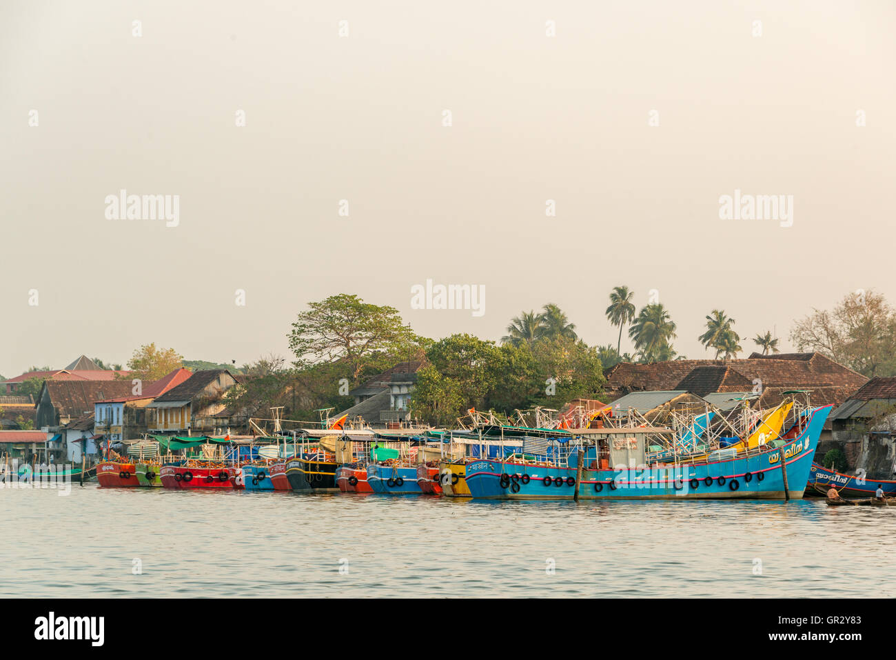 Fort cochin kerala india tree hi-res stock photography and images - Alamy