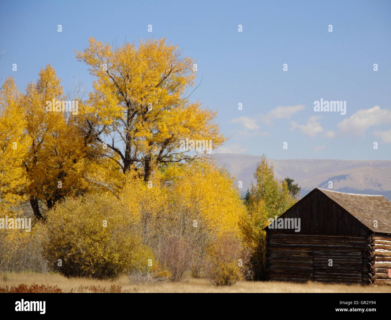 Yellow cabin landscape hi-res stock photography and images - Alamy