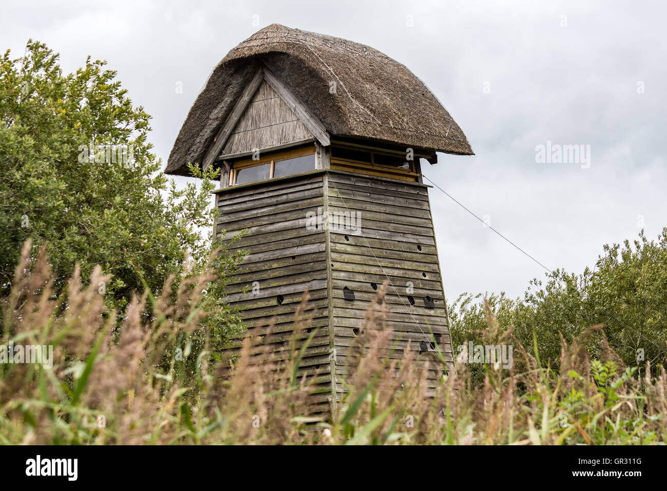 thatched bird hide ay wicken fen Stock Photo - Alamy