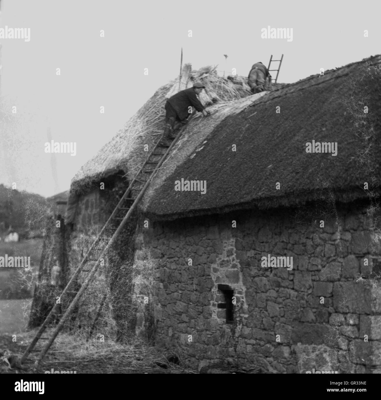 1930s, historical picture of a thatcher working on a new thatch roof on ...