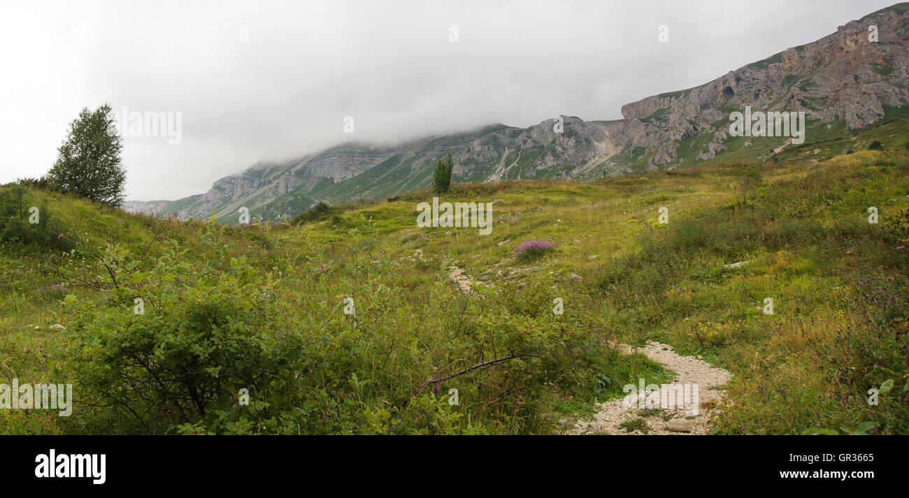 Gorgeous view green valley hi-res stock photography and images - Alamy