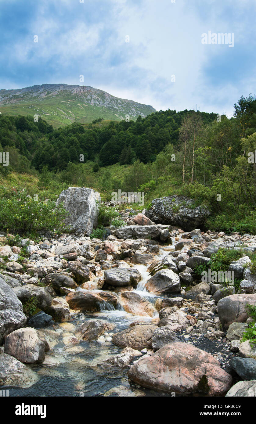 pure mountain spring Stock Photo - Alamy