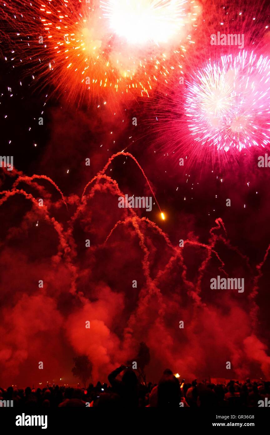 Crows watching the fireworks show during the National Pyrotechnic ...