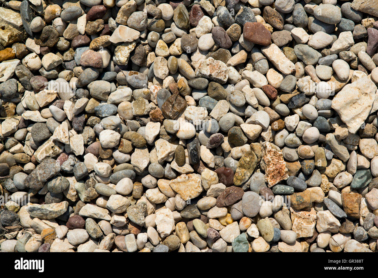 background with details of the rocky beach in Premantura Stock Photo ...