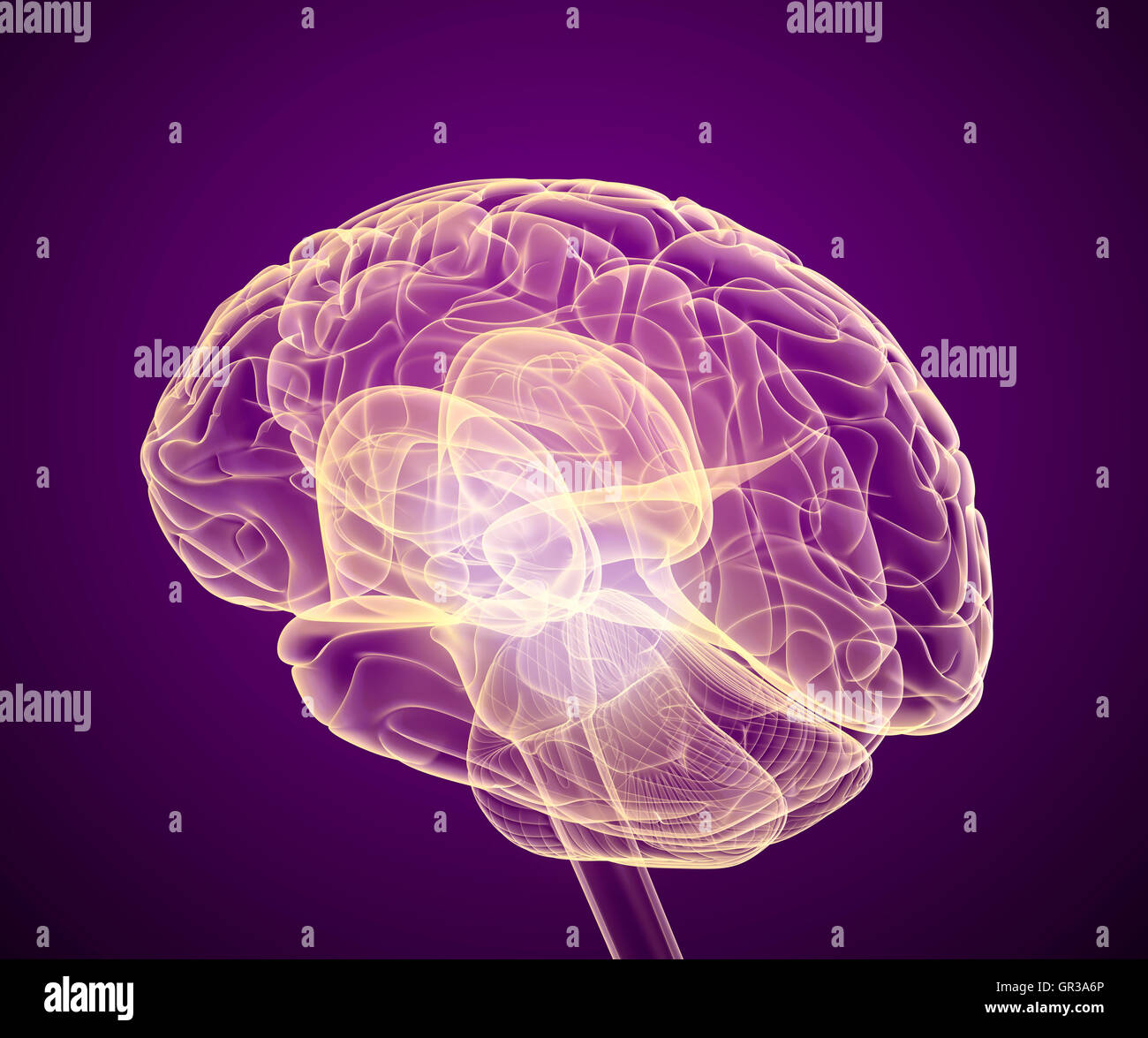 Neuron synapse scan hi-res stock photography and images - Alamy