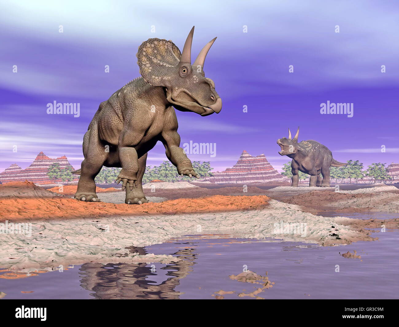 Diceratops dinosaurs in nature - 3D render Stock Photo - Alamy
