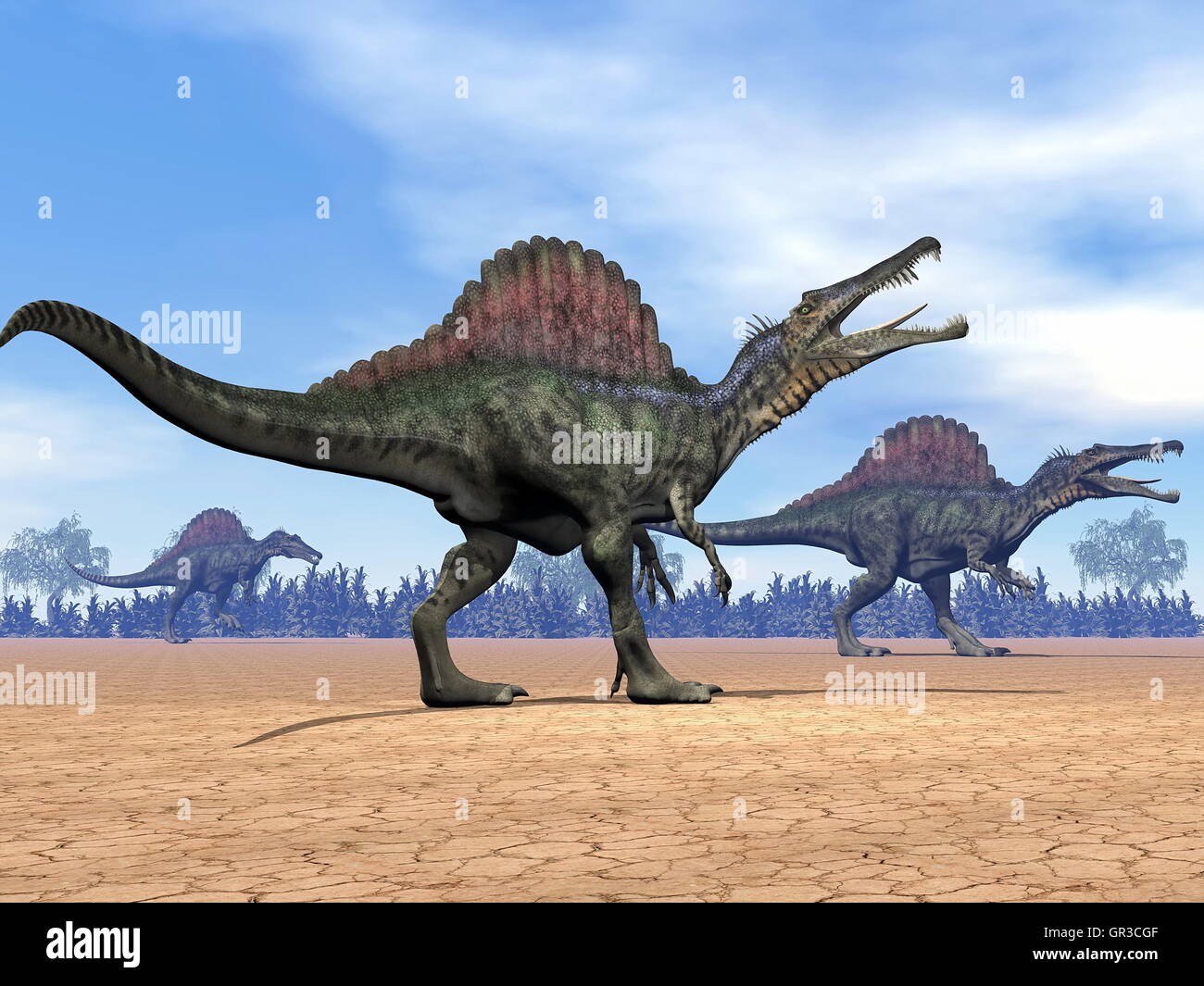 Spinosaurus dinosaurs walk - 3D render Stock Photo - Alamy