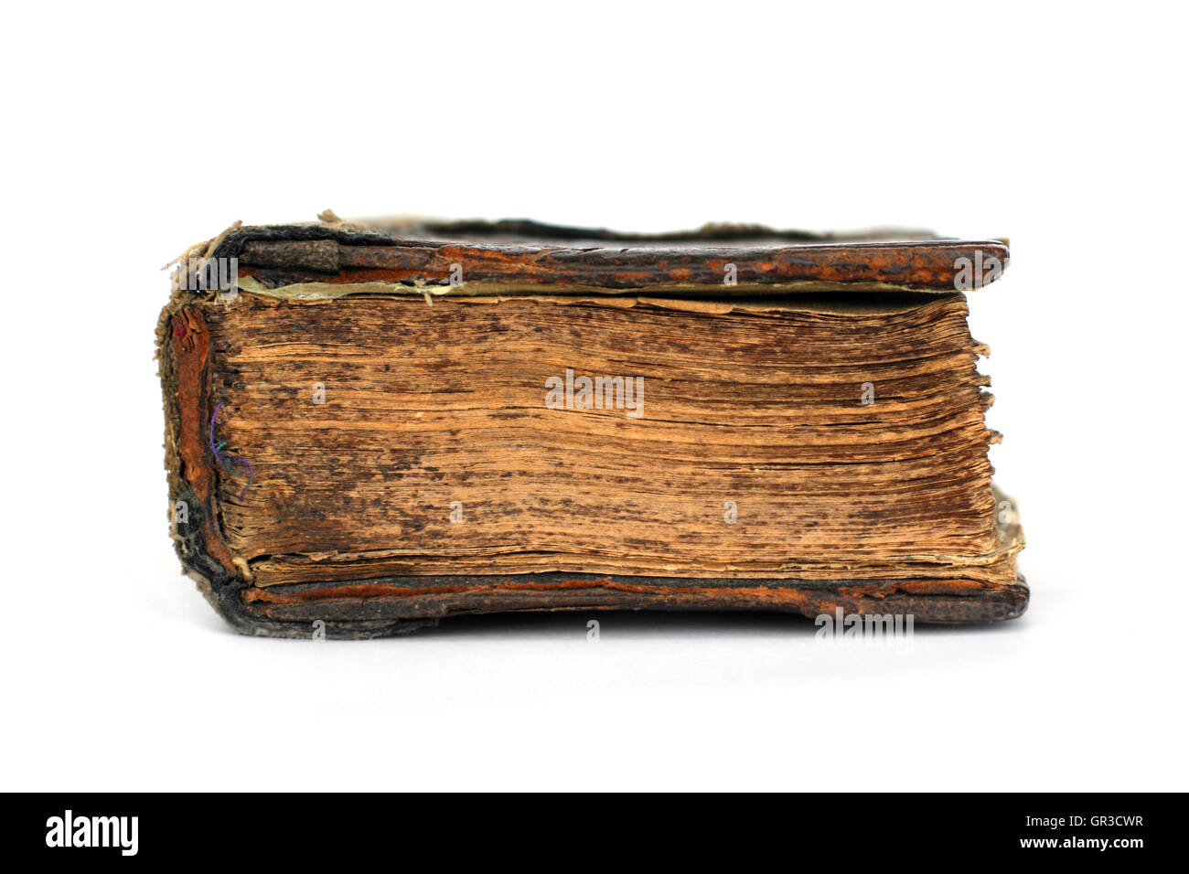 Medieval book page Cut Out Stock Images & Pictures - Alamy