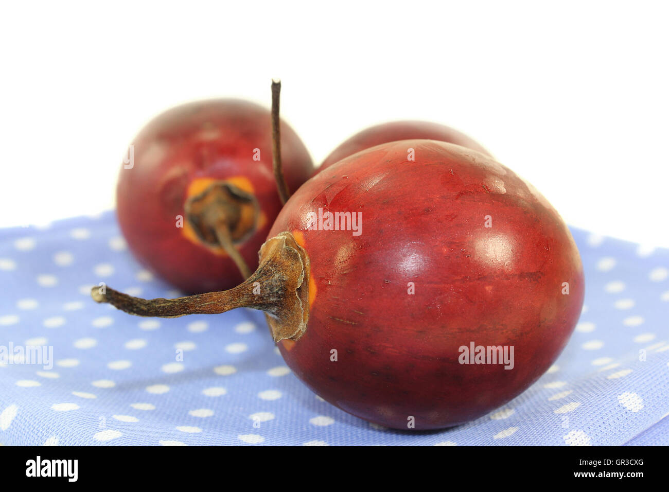 Tamarillo tree tomato solanum betaceum hi-res stock photography and ...