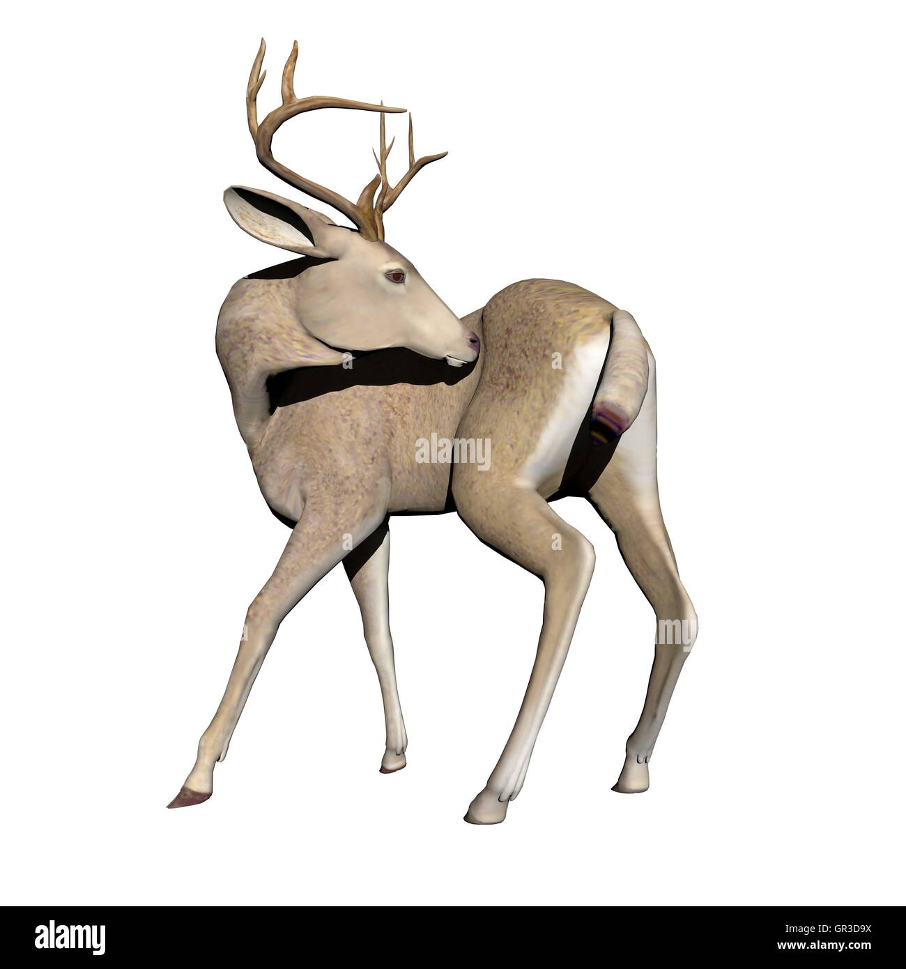 Buck - 3D render Stock Photo - Alamy